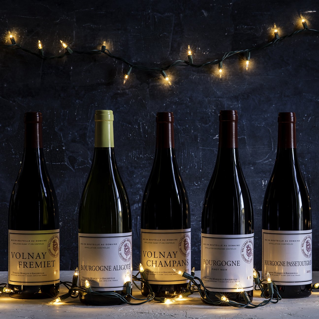 wine_featuredbanner_0bb85623-f43e-40cd-91ee-5c765a24ec73.jpg?v=1636839361